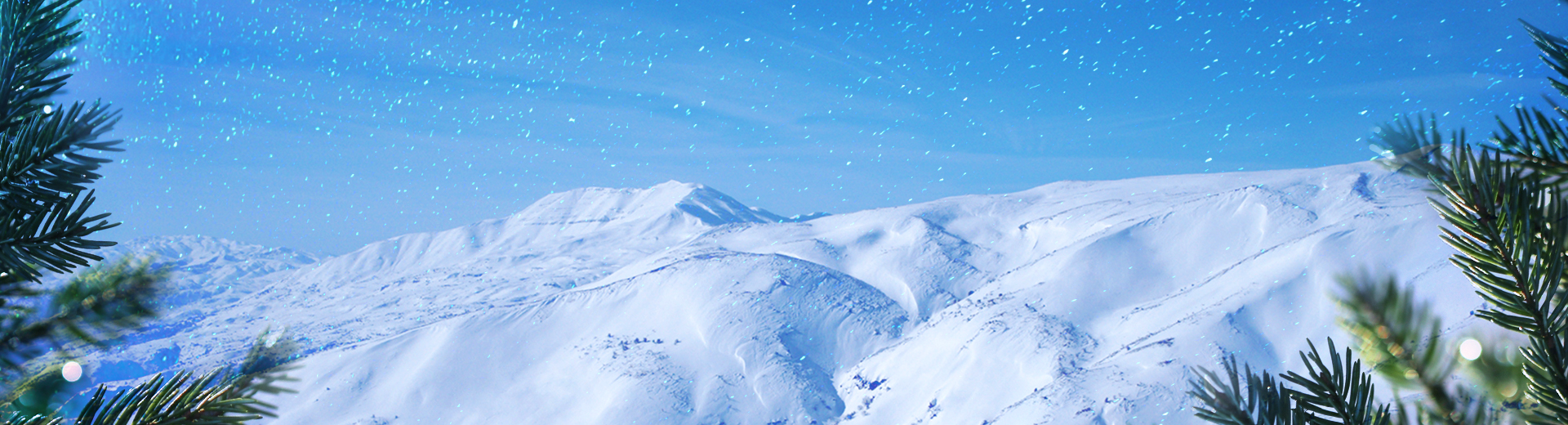 Rim Natural Spring Mineral Water