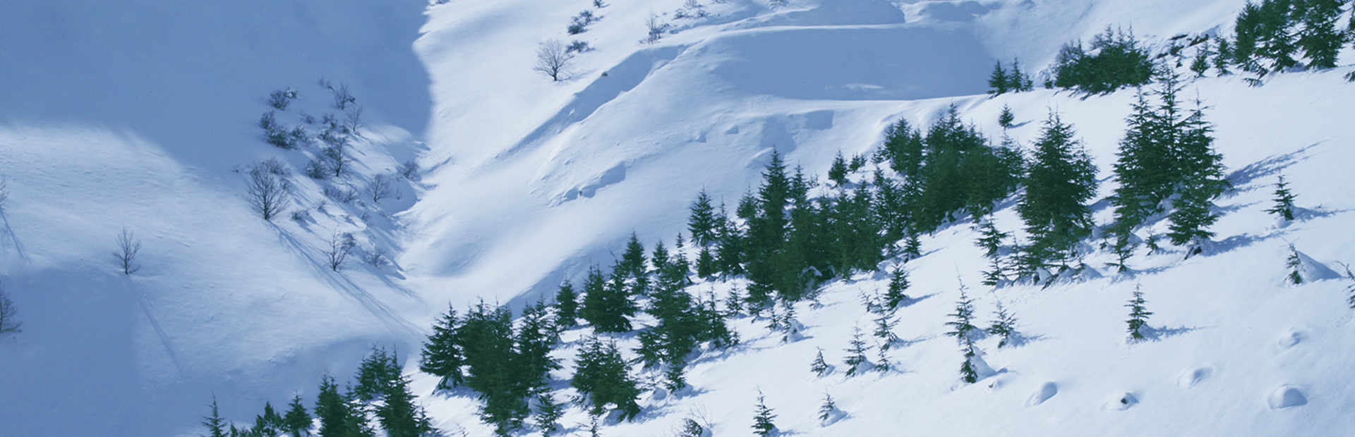 Rim Natural Spring Mineral Water