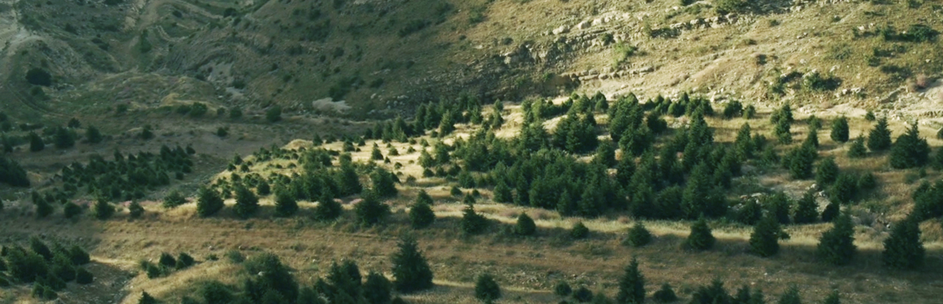 Rim Natural Spring Mineral Water